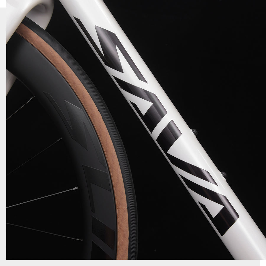 Full Carbon Race Bike|SAVA Hawkeye F20 – SAVA Carbon Bike