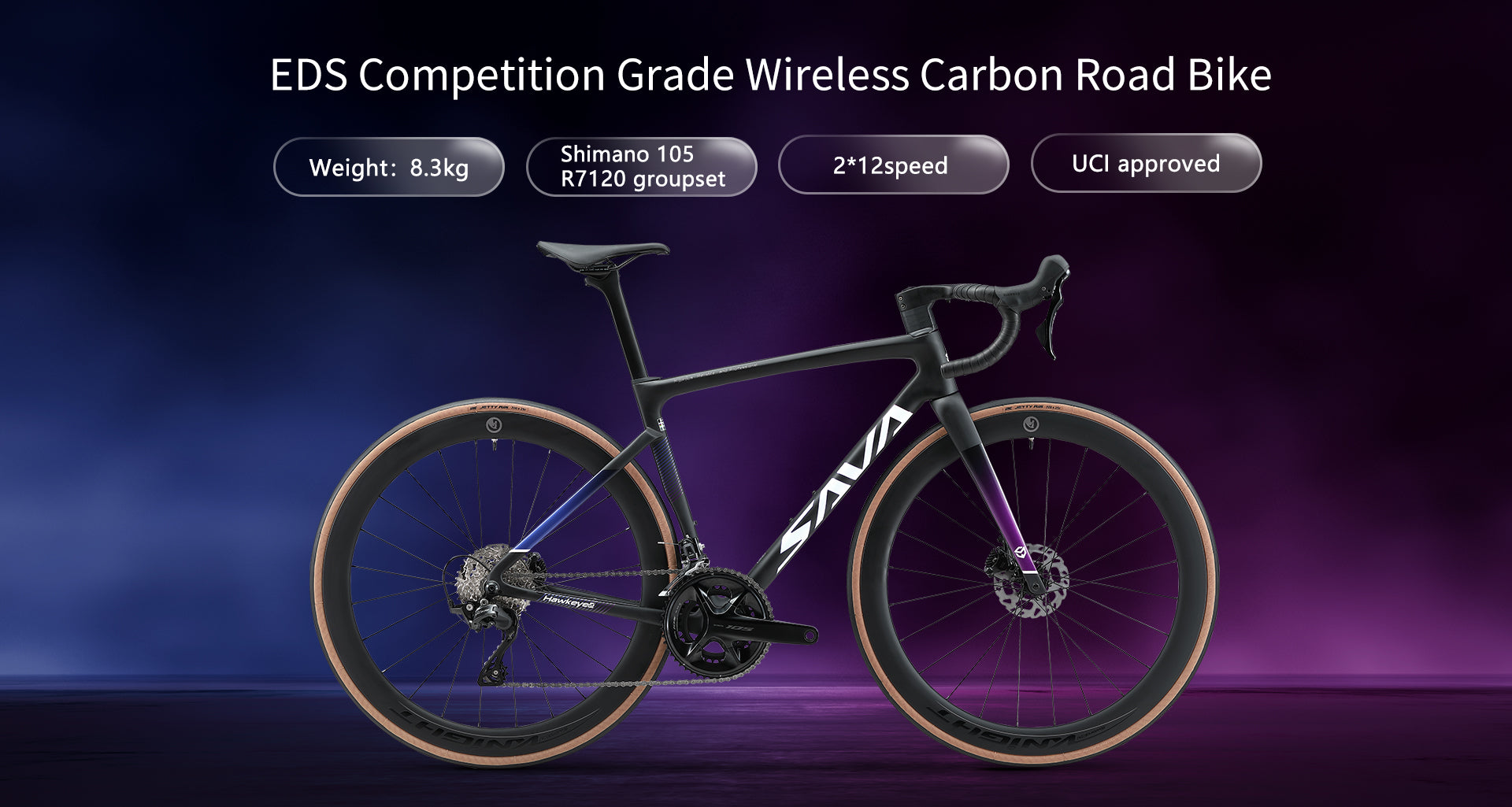 Full Carbon Race Bike|SAVA Hawkeye F20 – SAVA Carbon Bike