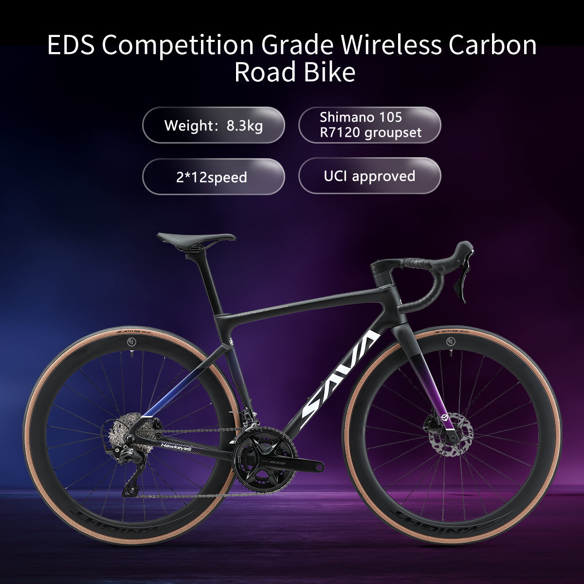 Full Carbon Race Bike|SAVA Hawkeye F20 – SAVA Carbon Bike