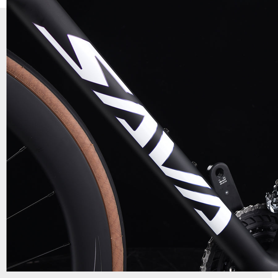 Full Carbon Race Bike|SAVA Hawkeye F20 – SAVA Carbon Bike